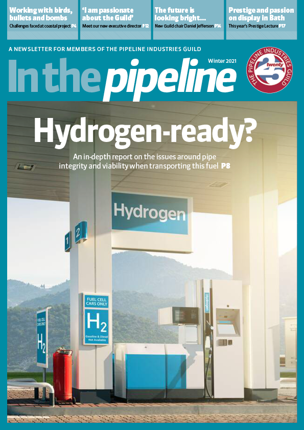 In the Pipeline | Pipeline Industries Guild